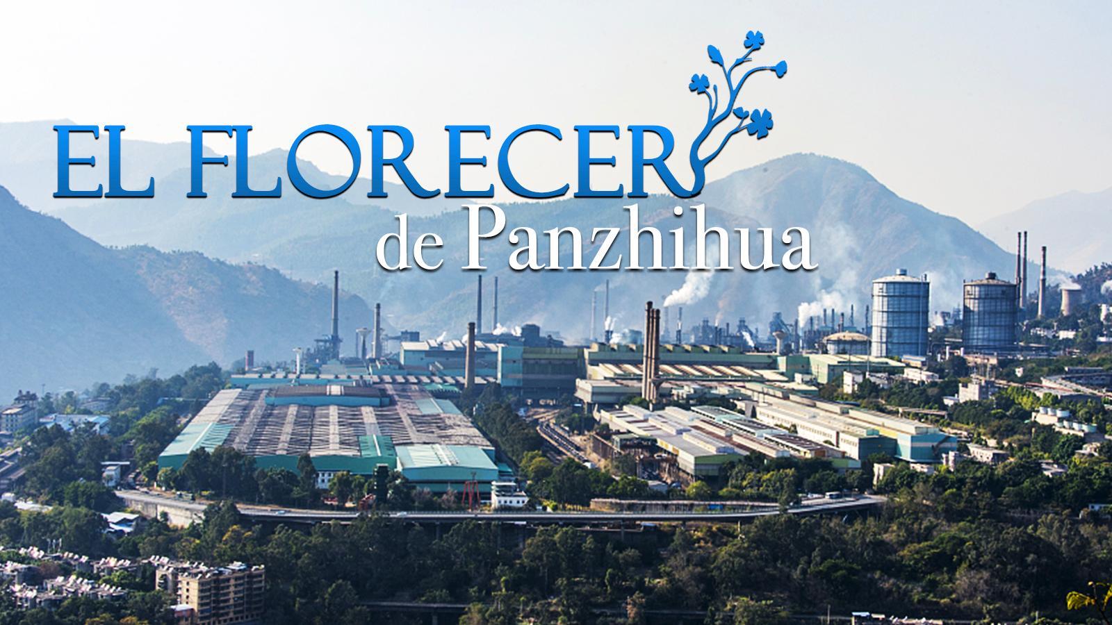 El florecer de Panzhihua