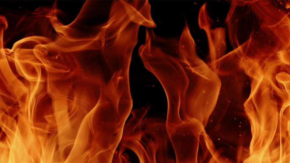 Incendios Forestales En Italia Devoran Bosques Y Conducen A