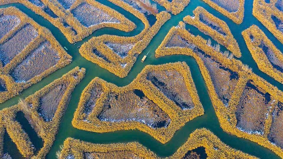 La ciudad de Suqian: pintoresco paisaje del humedal del lago Hongze ...