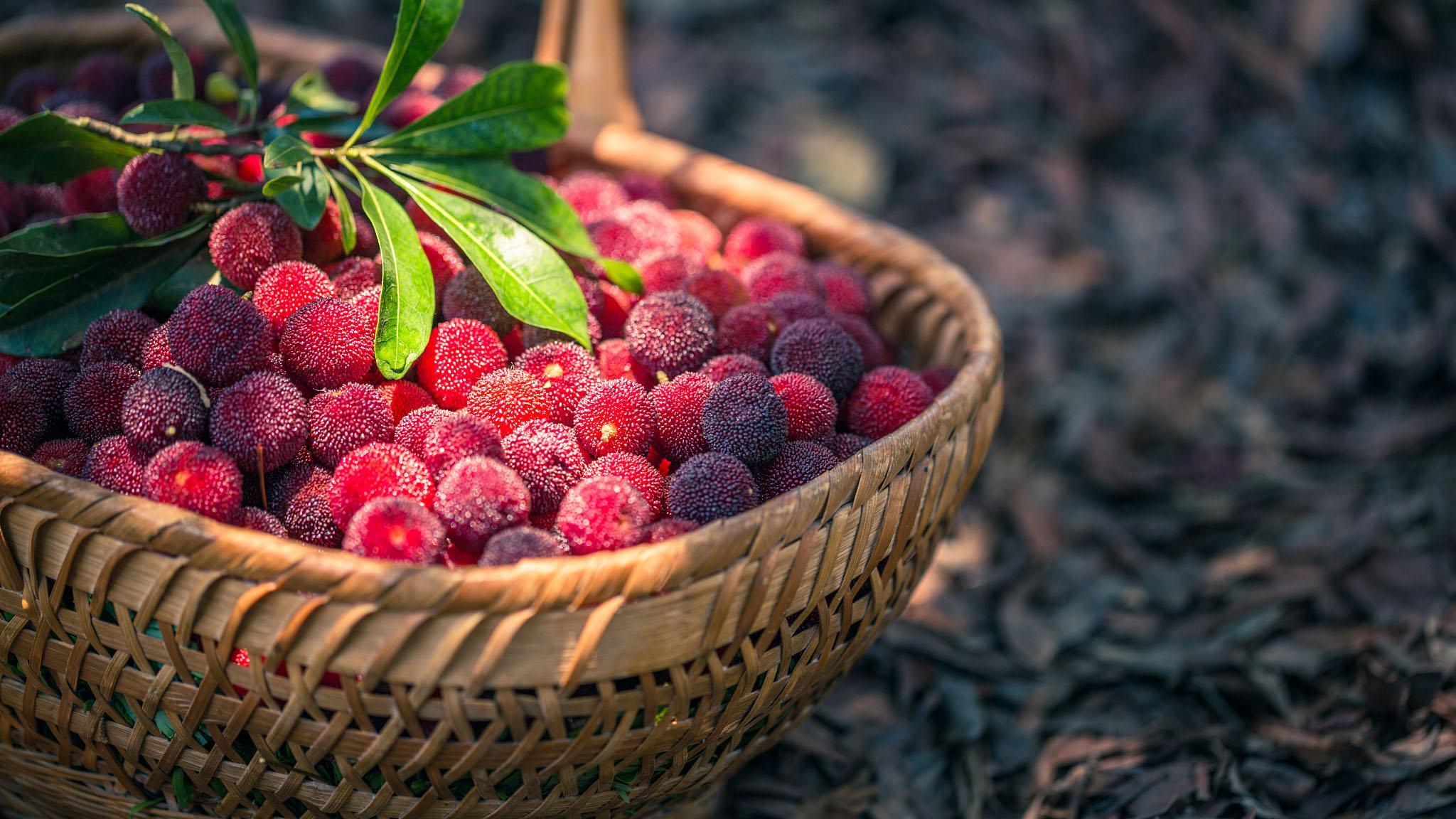 DE CHINA A TU COCINA